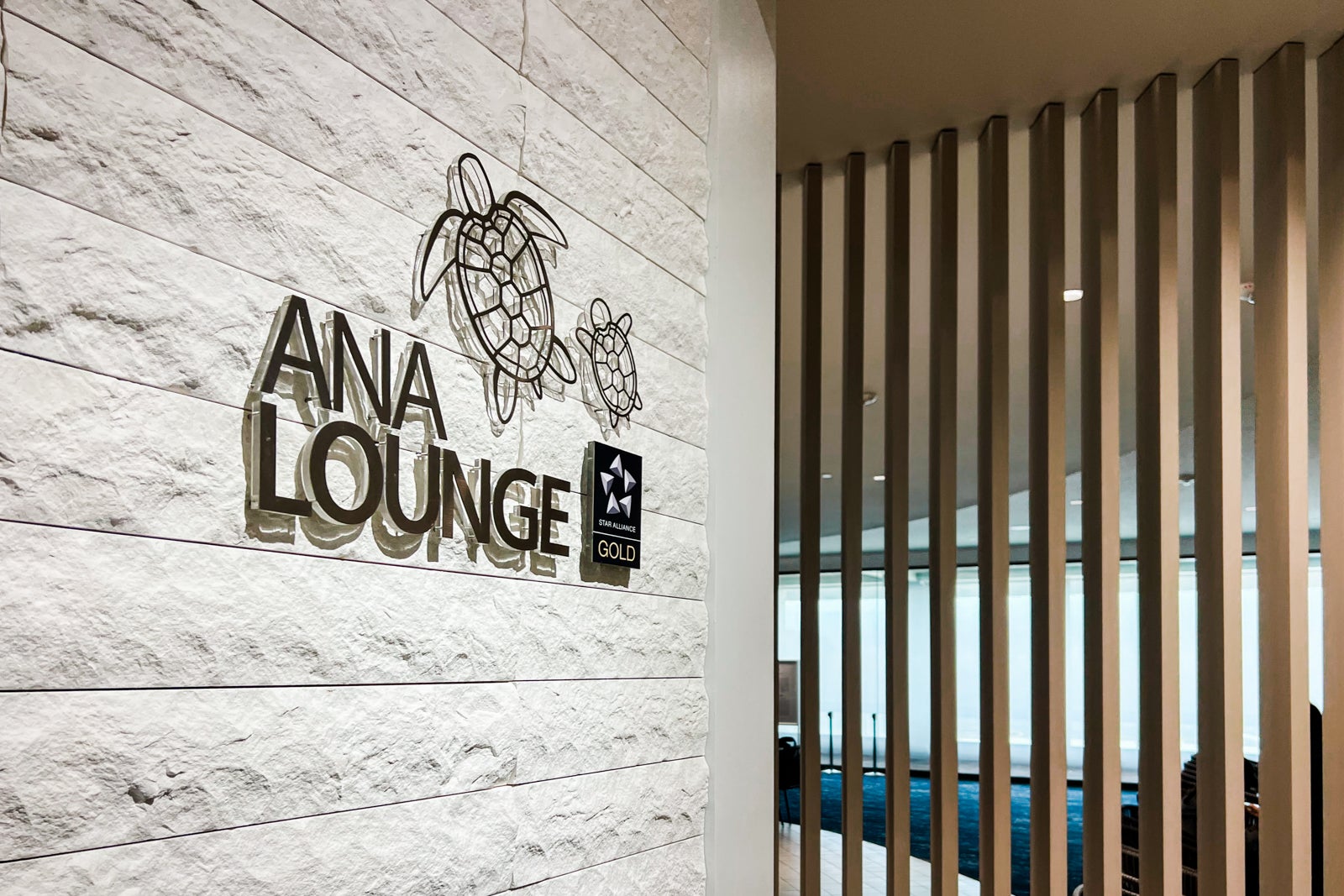 Flying the ANA Couchii from Honolulu to Tokyo — is it worth it? - The ...