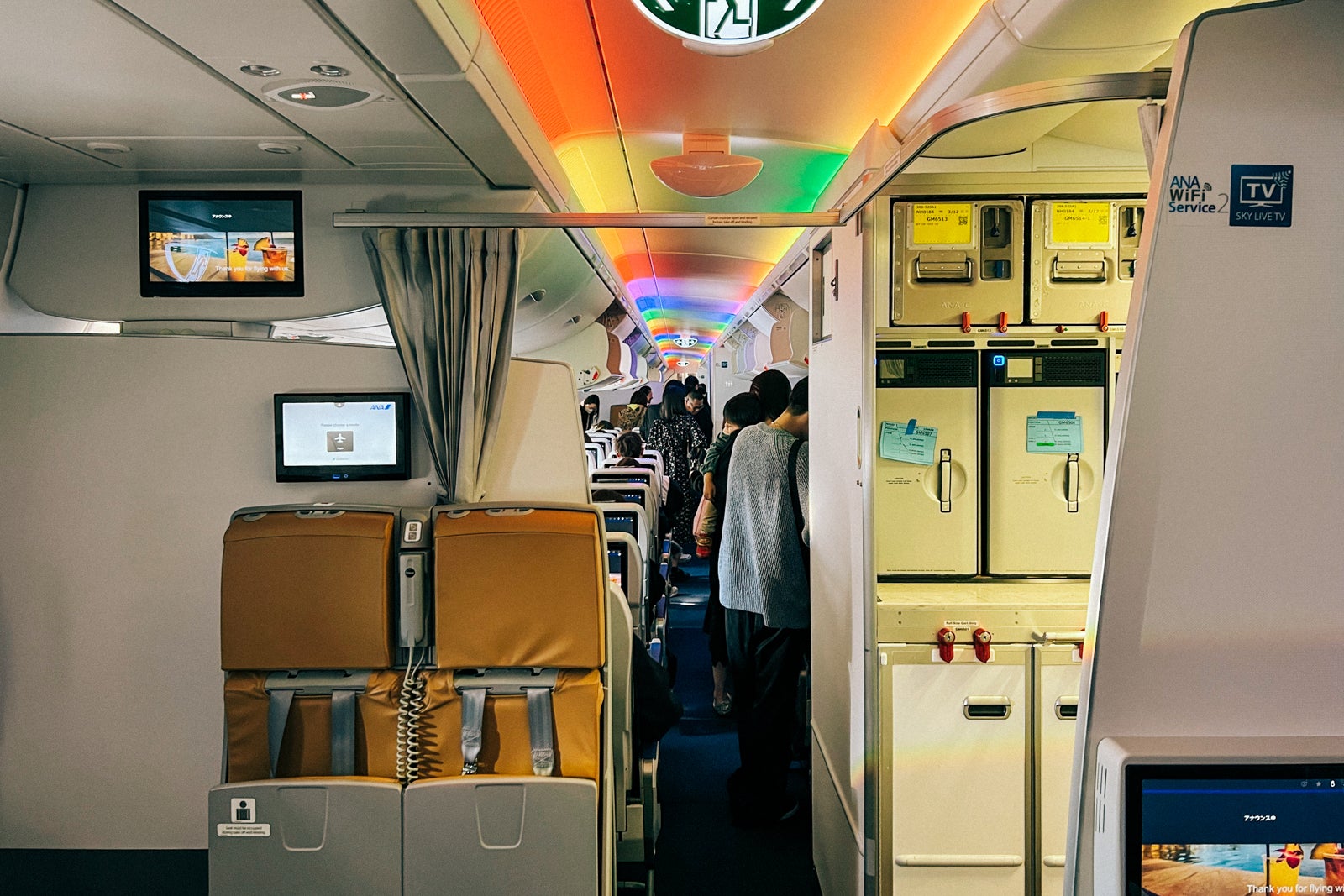 Flying the ANA Couchii from Honolulu to Tokyo — is it worth it? - The ...