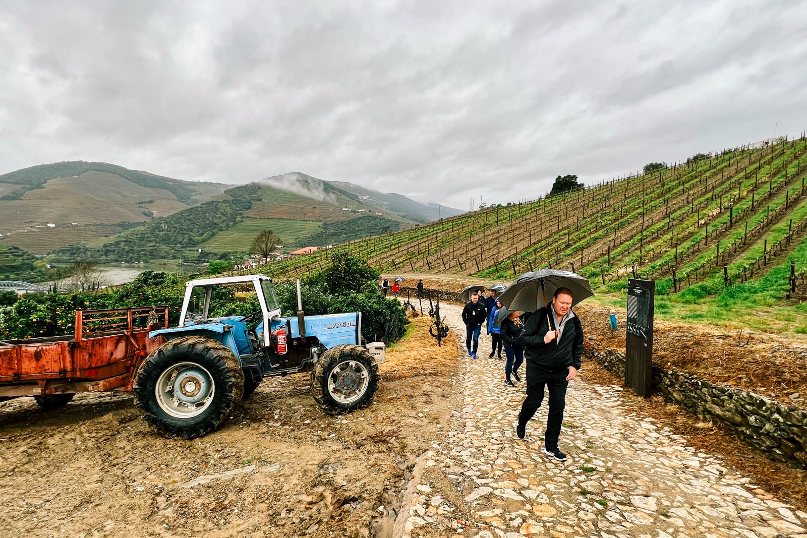 My latest river cruise adventure included kayaking, biking and hiking ...