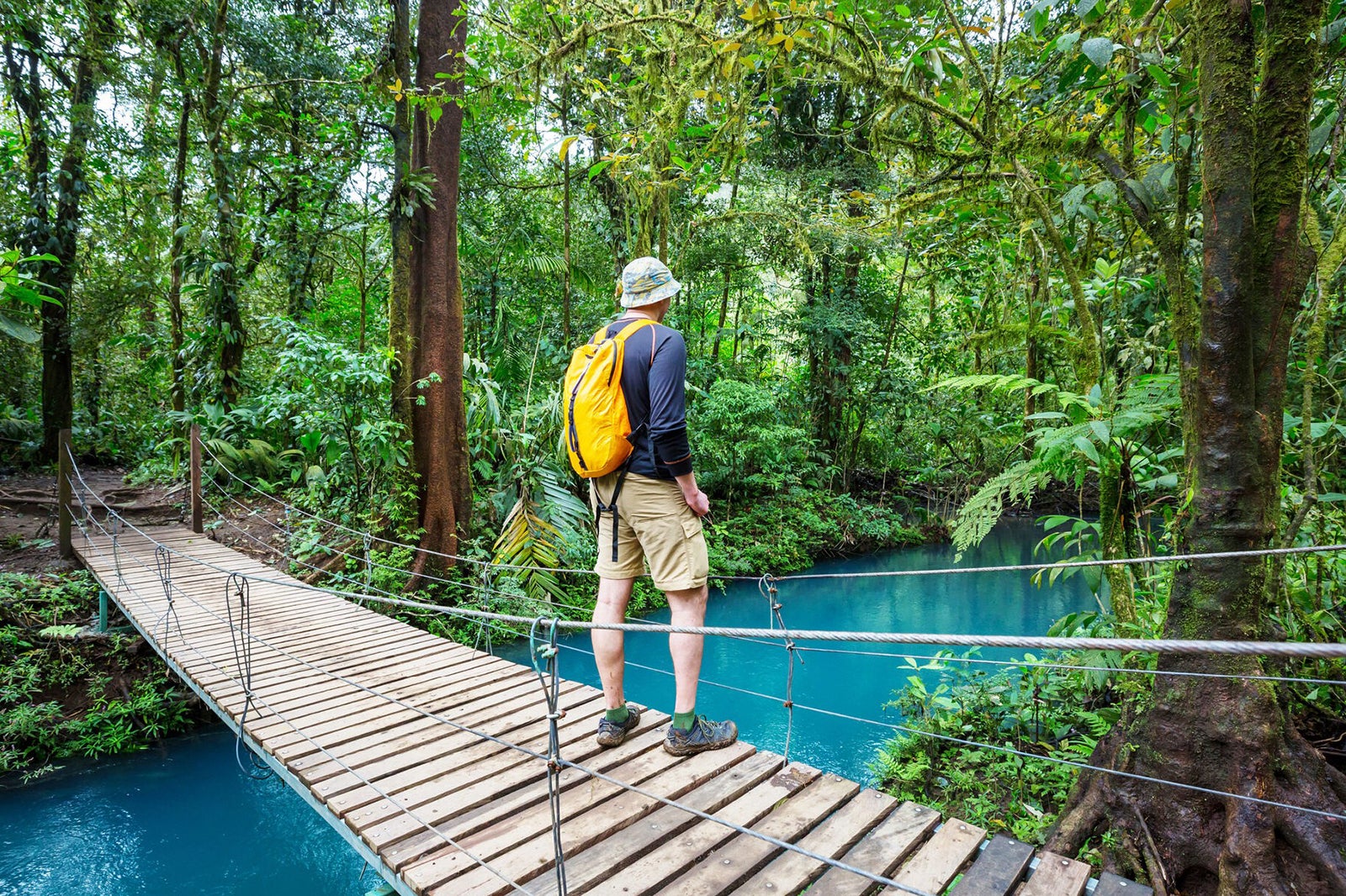 7 warm-weather expedition cruises that will wow nature and adventure ...