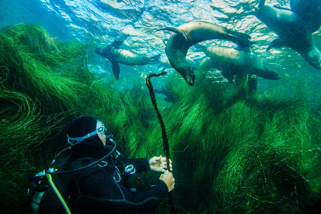 The best national parks in California - The Points Guy