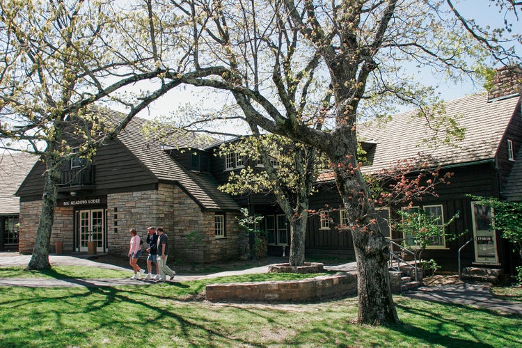 Everything you need to know about visiting Shenandoah National Park ...