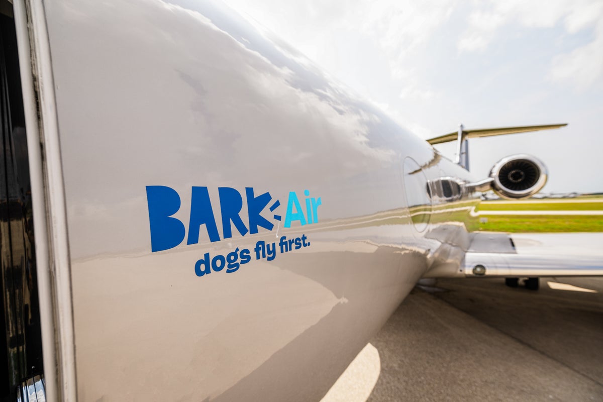 Bark Air promises a first-class ride for your pet — for a hefty fee ...