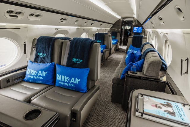 Bark Air promises a first-class ride for your pet — for a hefty fee ...