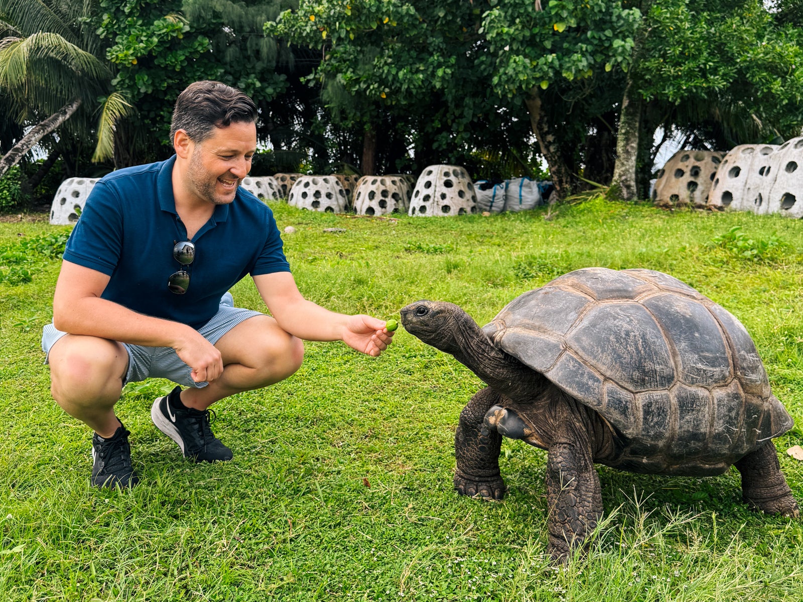 Four Seasons Resort Seychelles at Desroches Island review - The Points Guy