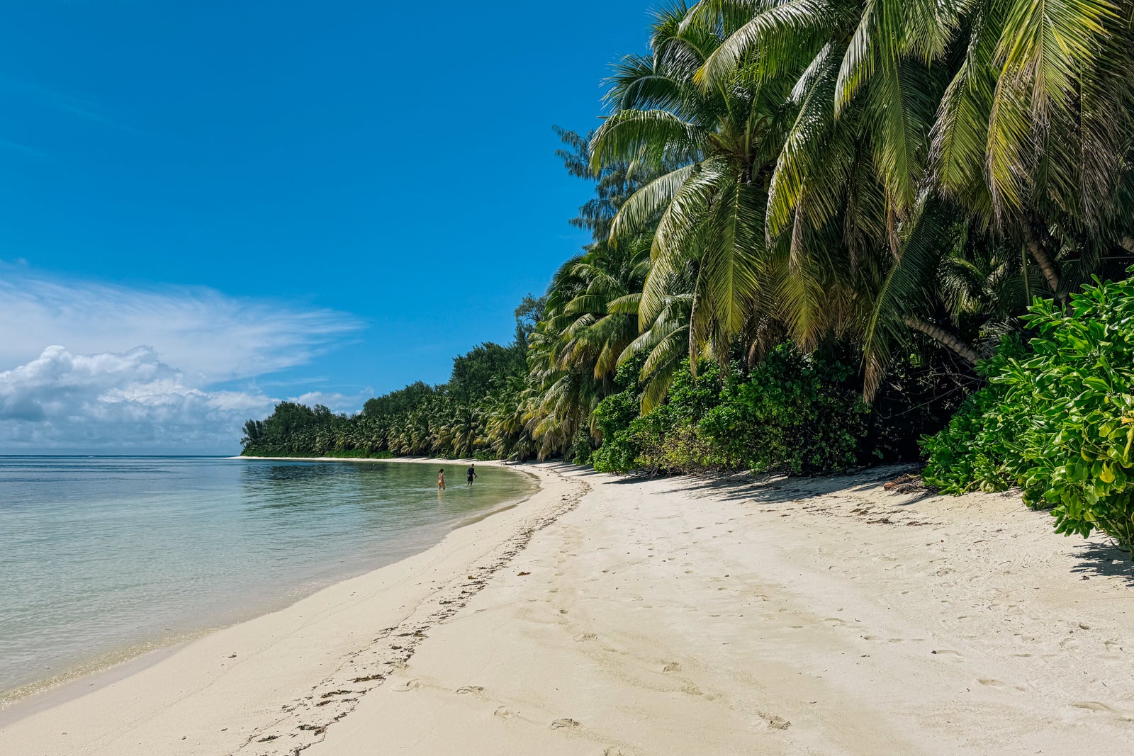 Four Seasons Resort Seychelles at Desroches Island review - The Points Guy