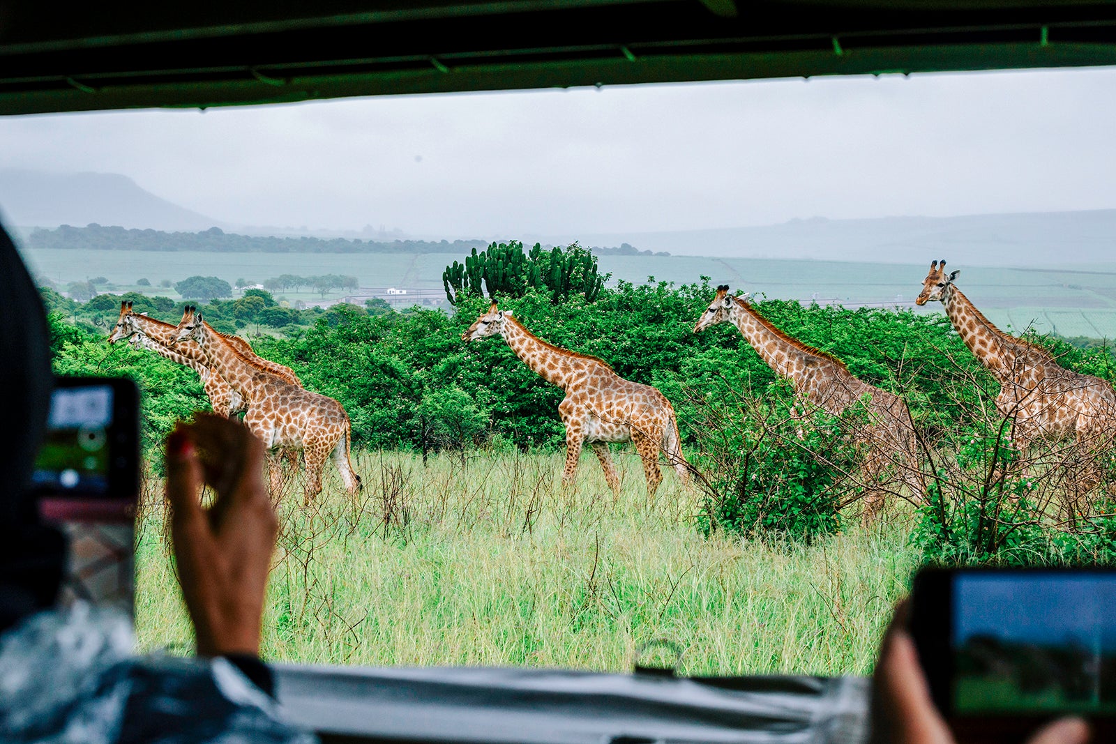 11 best spring break destinations to go to in 2025 - The Points Guy