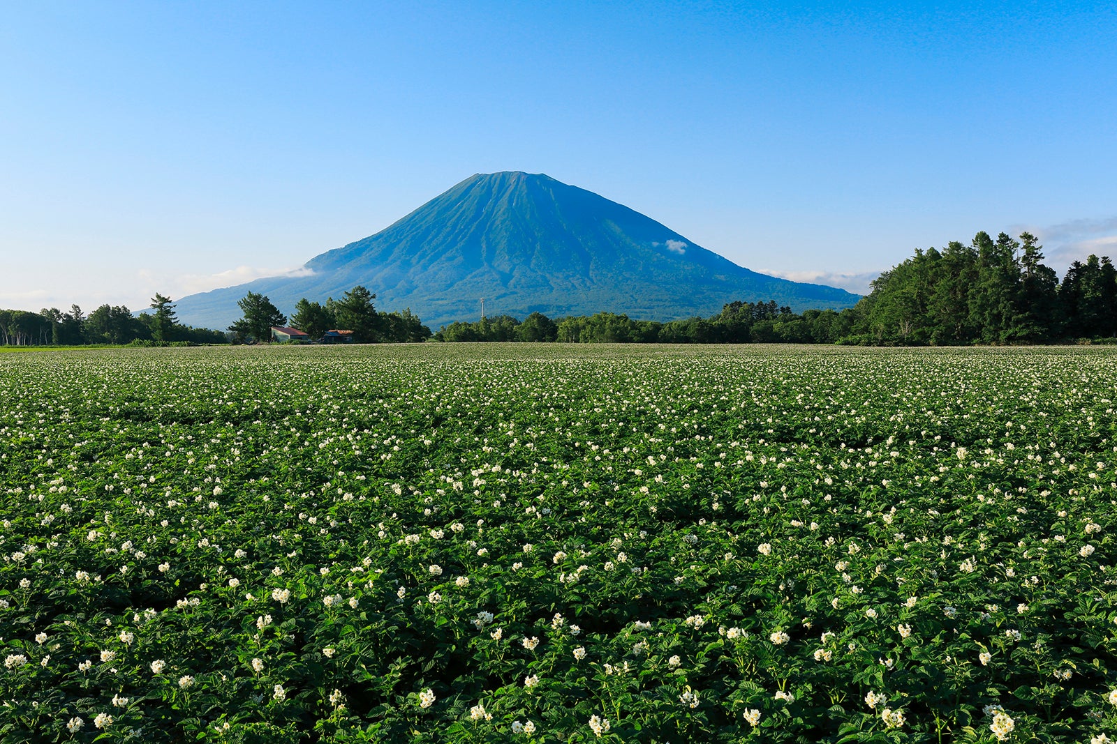 The best places to travel in July - The Points Guy