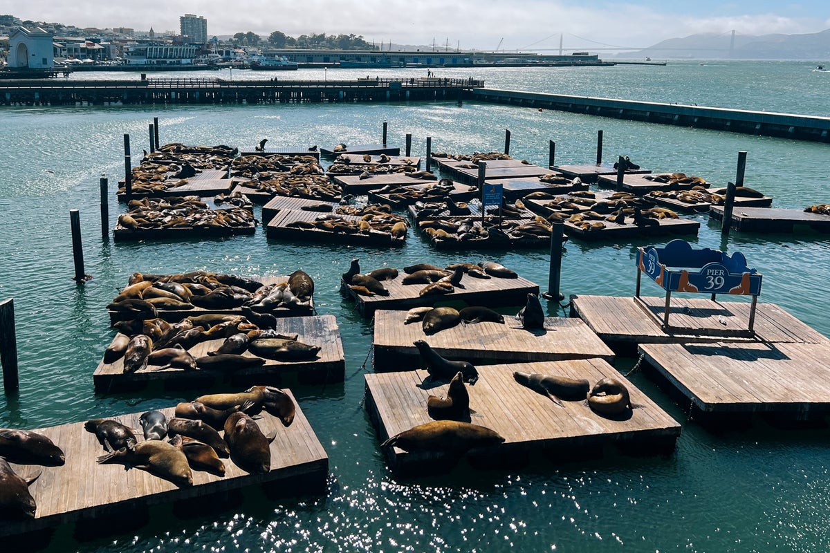 Now is actually a great time to visit San Francisco - The Points Guy