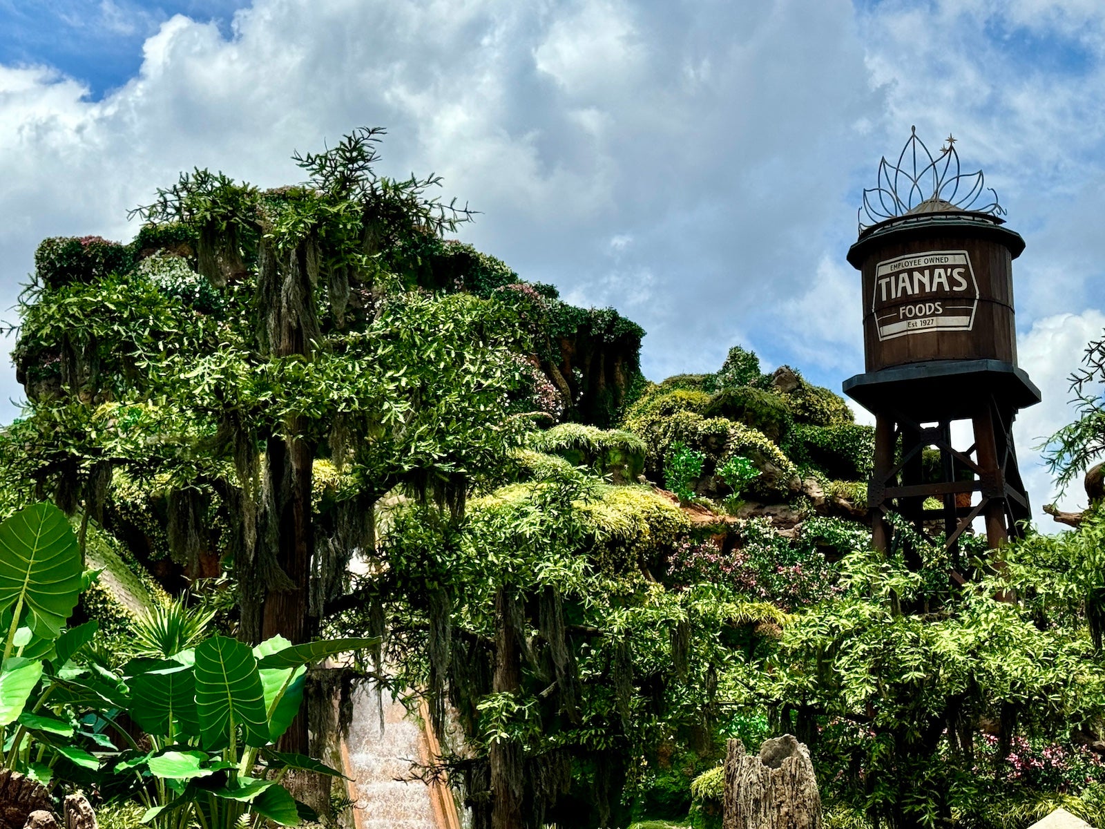 Here's everything you need to know about Tiana’s Bayou Adventure - The ...