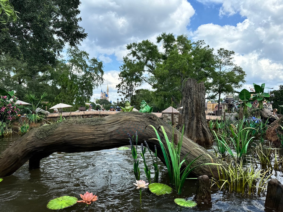 Here's everything you need to know about Tiana’s Bayou Adventure - The ...