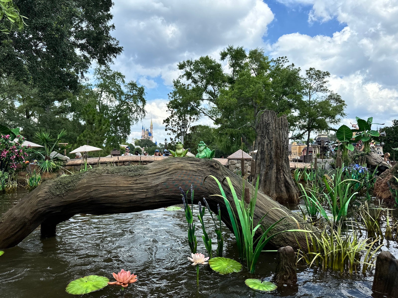 Here's everything you need to know about Tiana’s Bayou Adventure - The ...