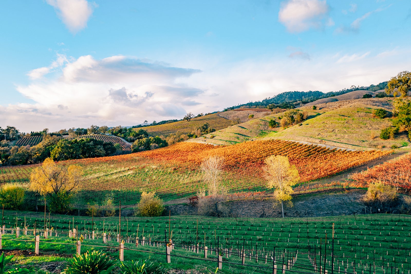 Best destinations for a girls getaway - The Points Guy