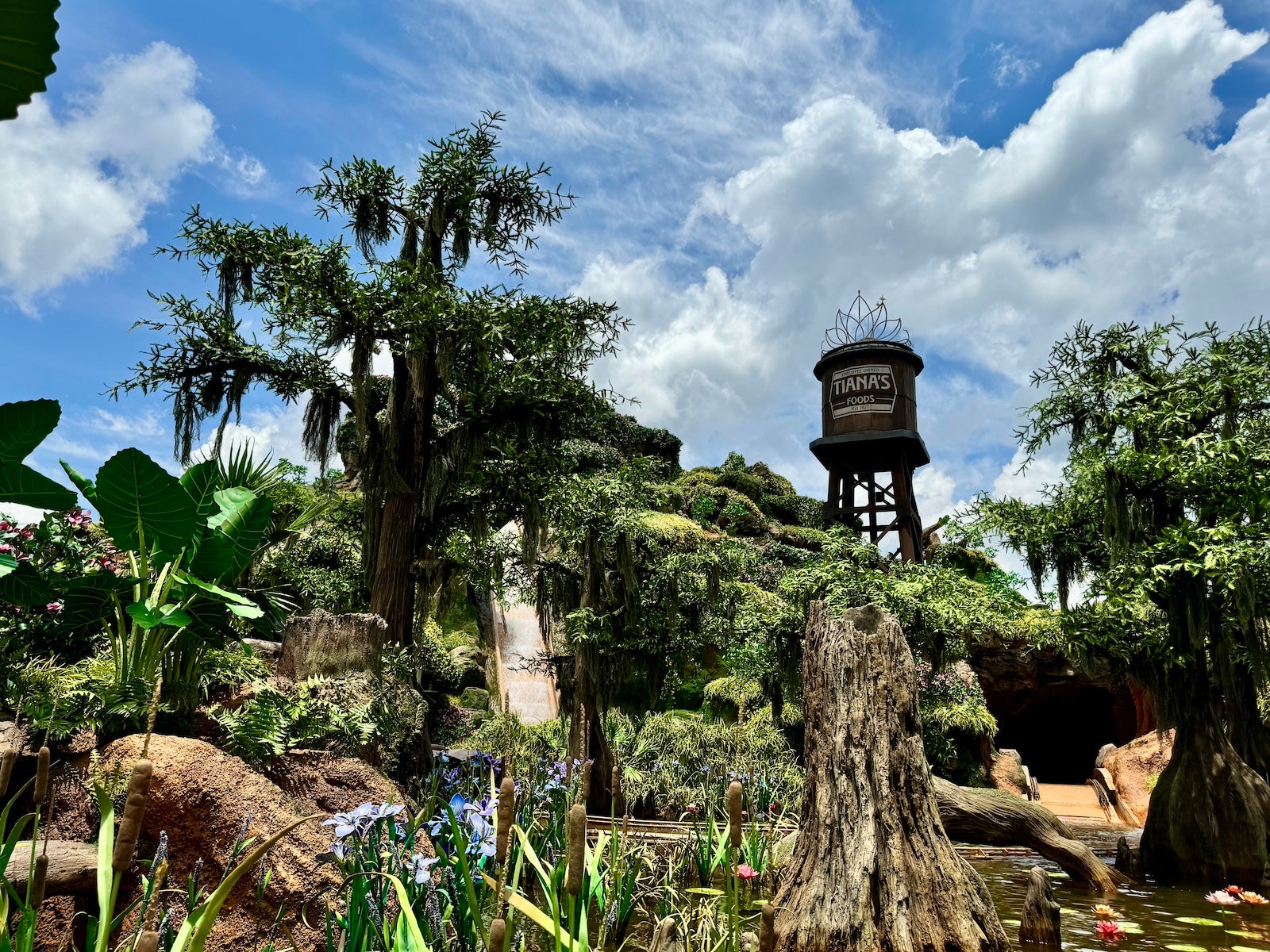 Here's everything you need to know about Tiana’s Bayou Adventure - The ...