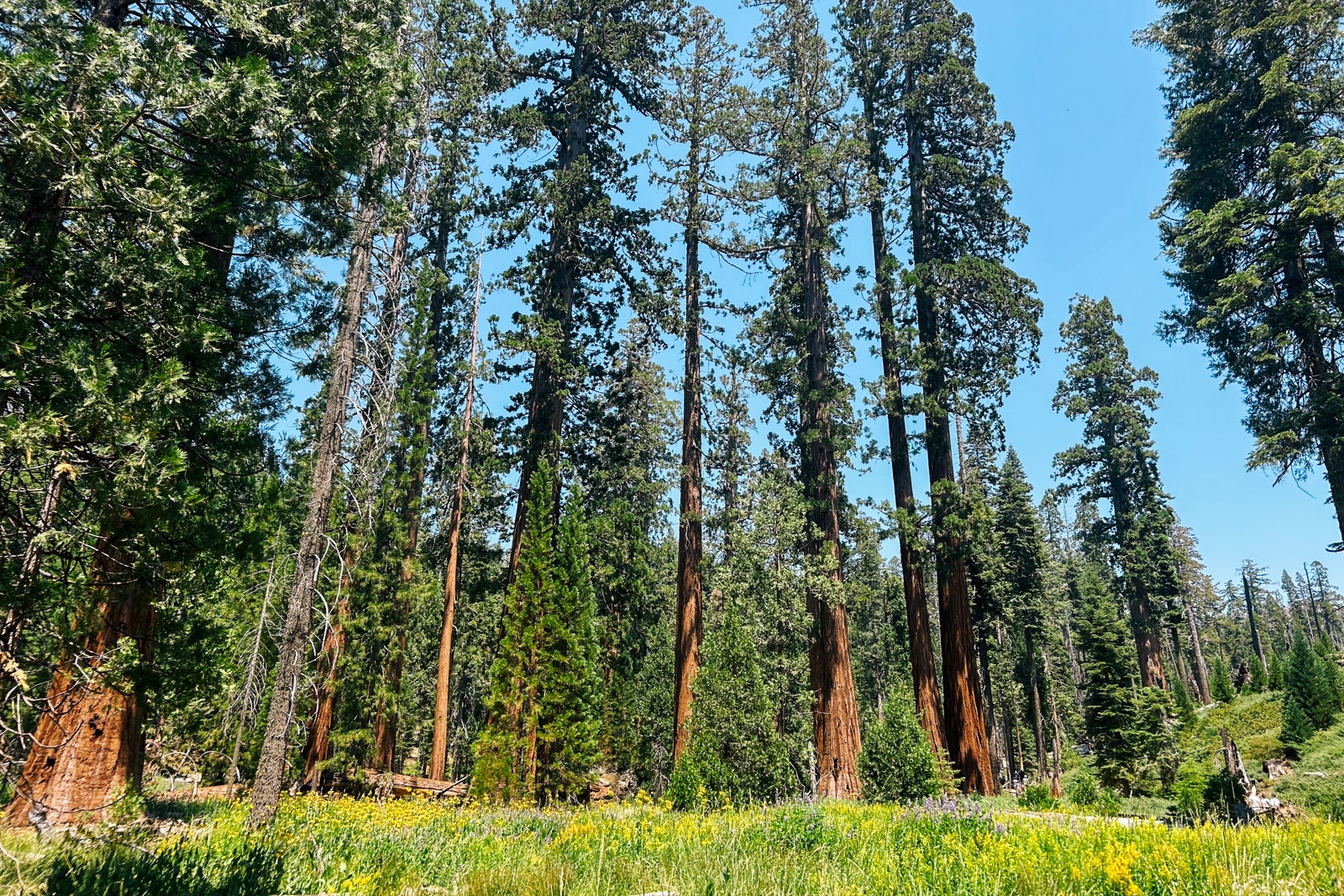 A glamping getaway you can book with Hilton Honors points: My stay at ...