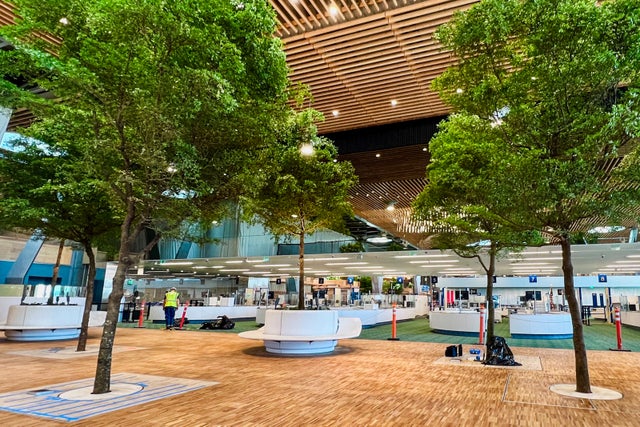 A look inside the new tree-lined main terminal at Portland ...