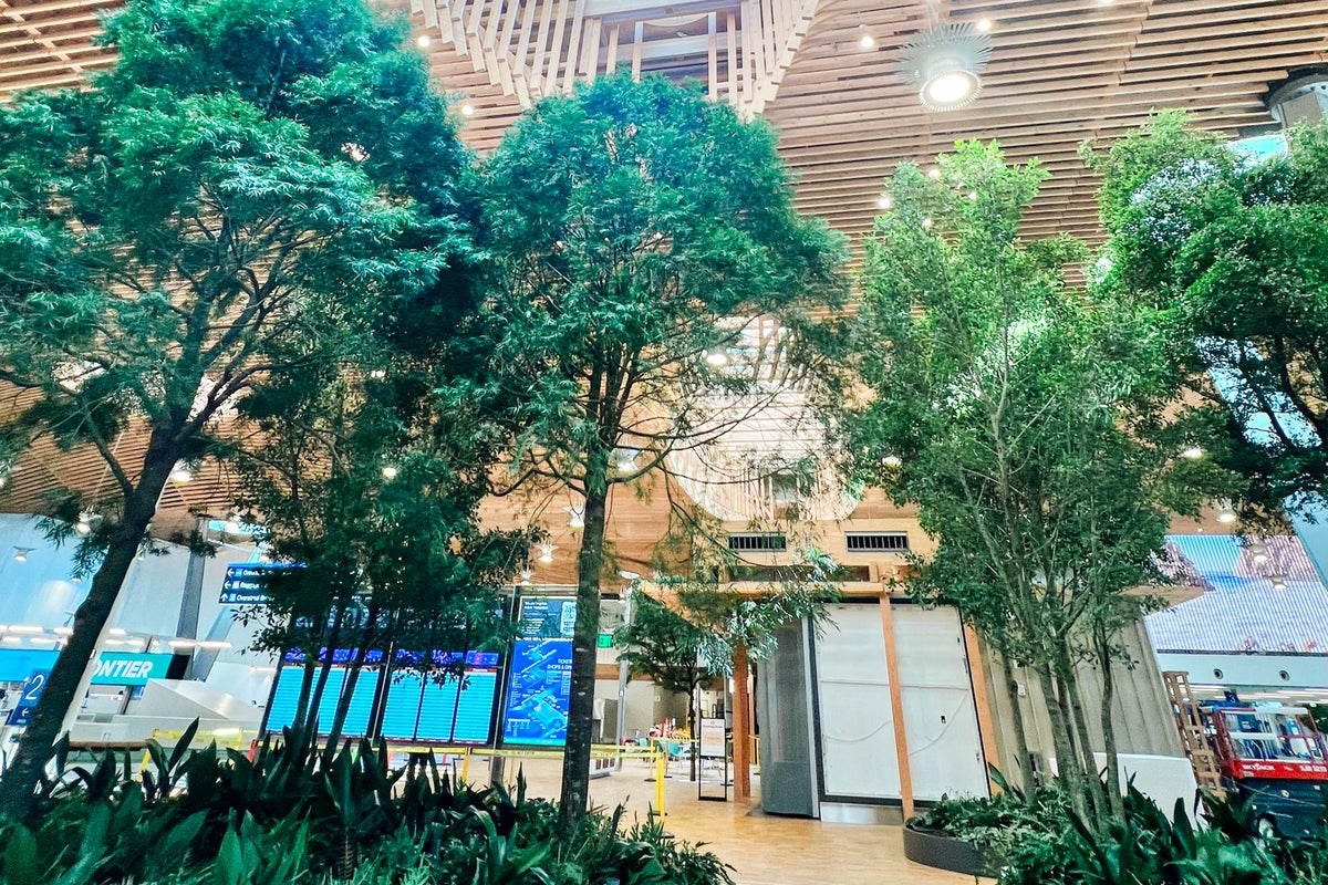 A look inside the new tree-lined main terminal at Portland ...