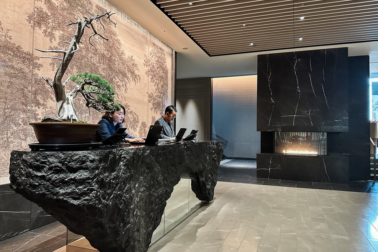 Janu Tokyo hotel review - The Points Guy