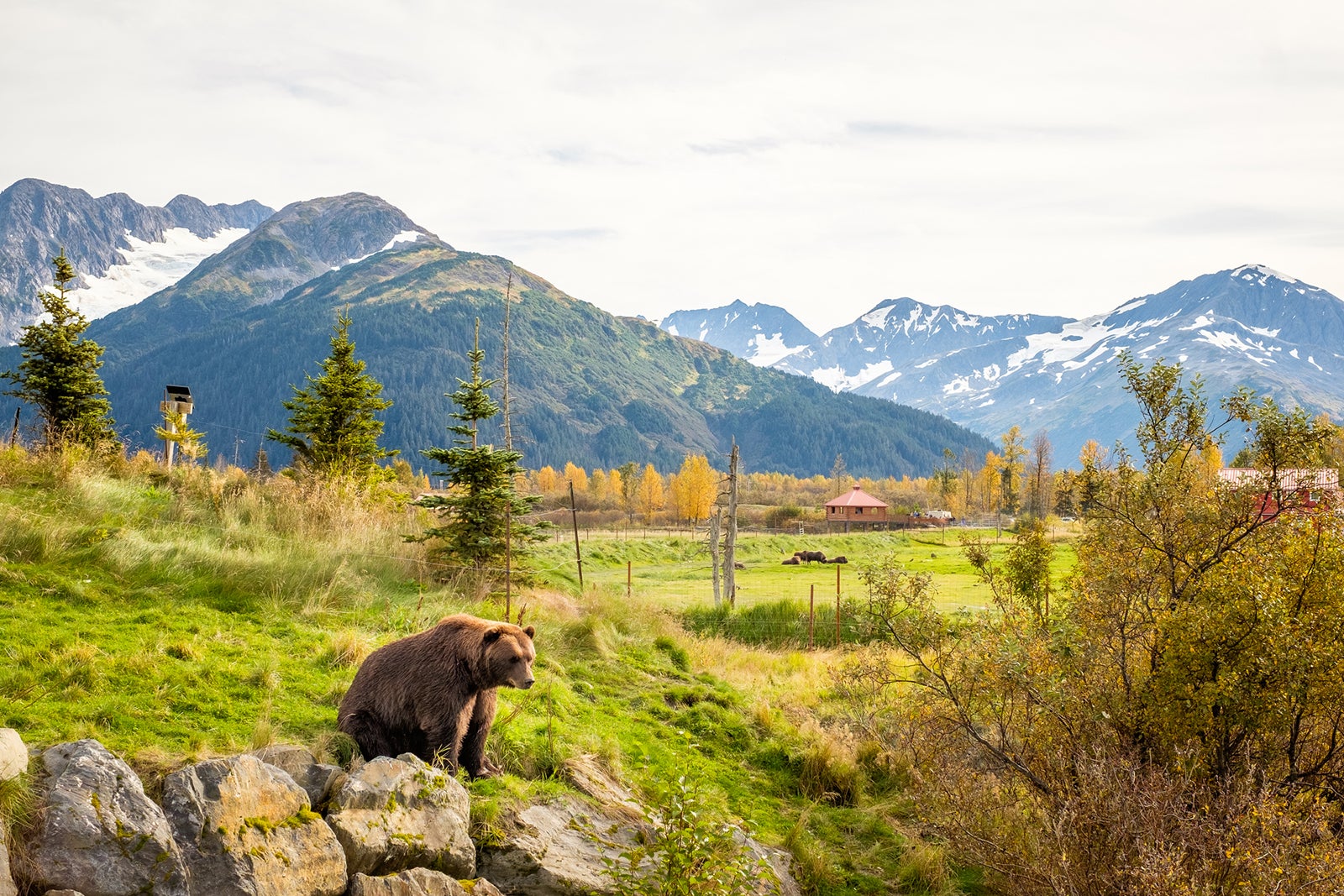An epic Kenai Peninsula, Alaska road trip - The Points Guy