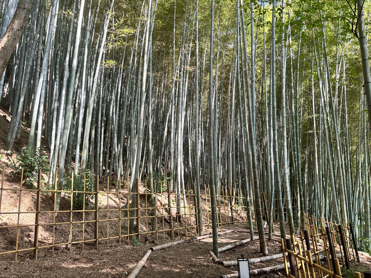 First look: Inside the new Banyan Tree Higashiyama Kyoto - The Points Guy