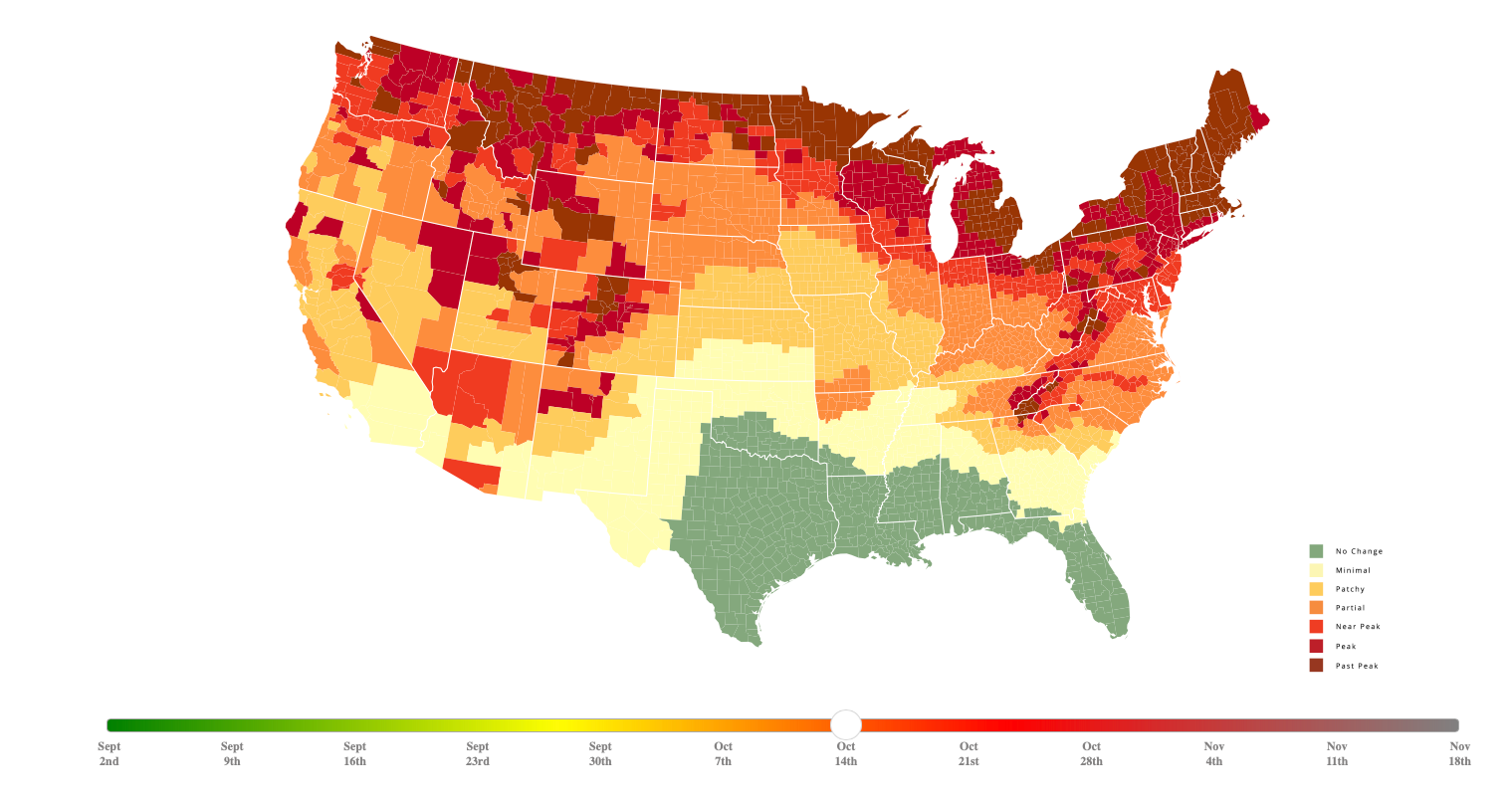 Here's where you can see fall foliage across the US in 2024 - The ...