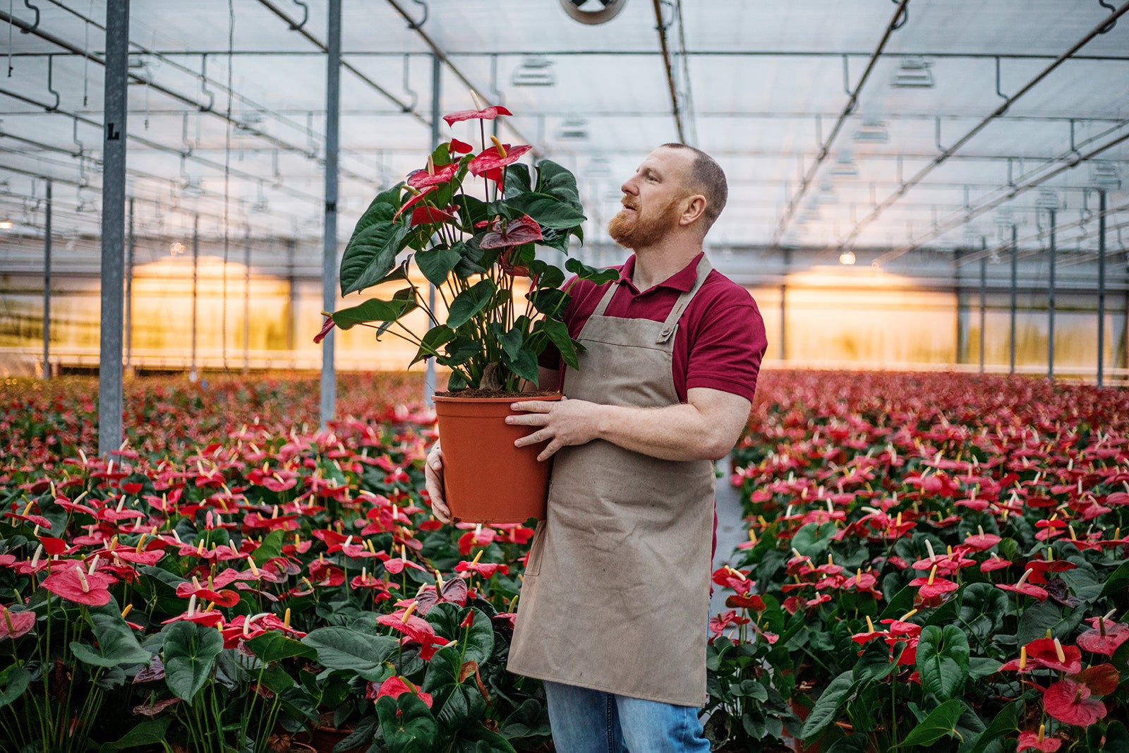 Capital One Spark Cash Plus is a cash-back king with a travel twist ...