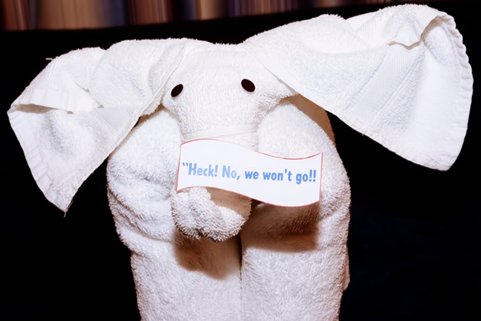 Cruise towel animals: Everything to know about this treasured terry ...