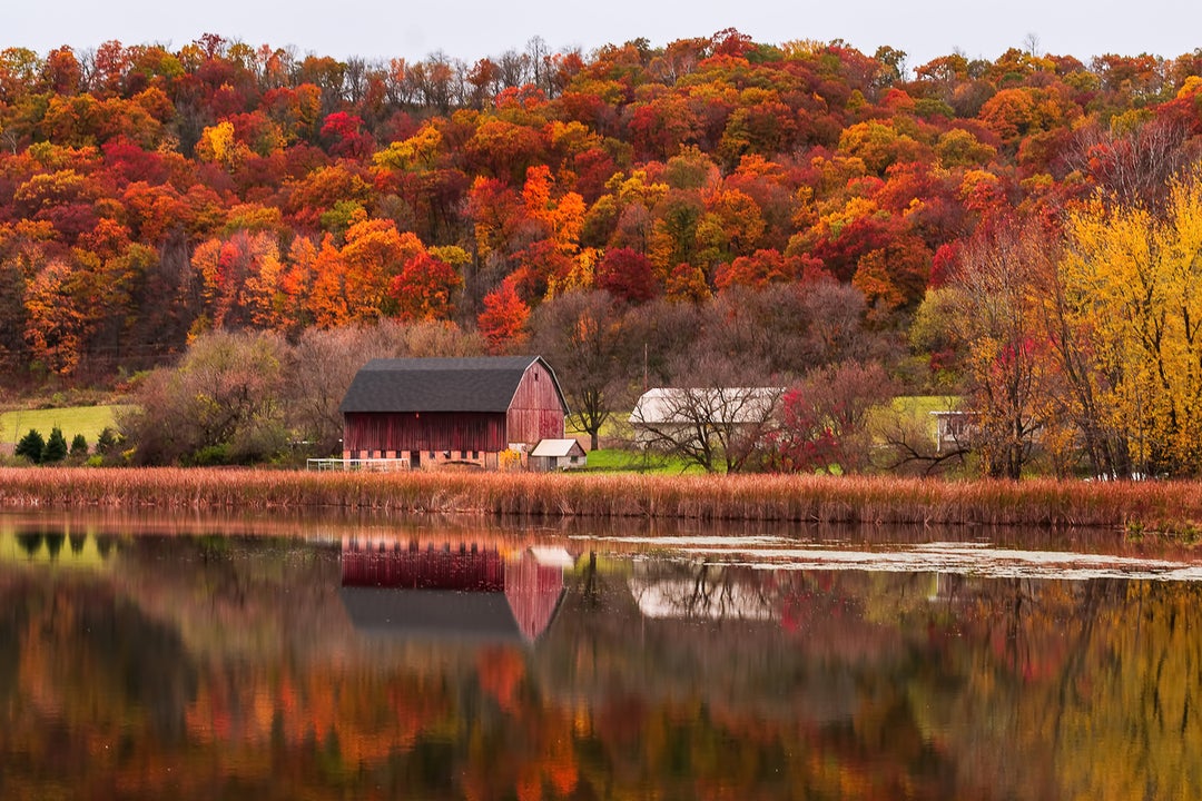 The 5 Best Midwest Road Trips for Fall Foliage - The Points Guy