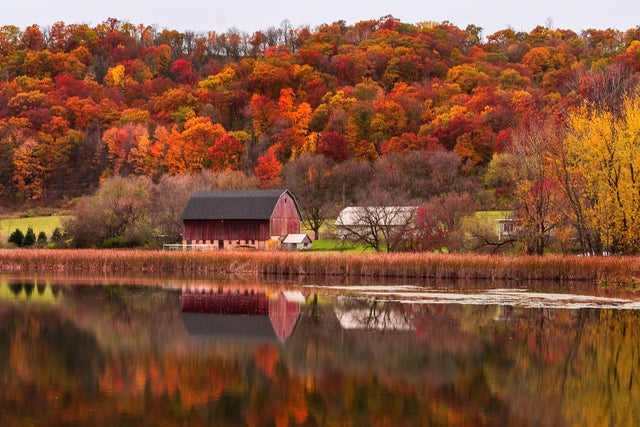 The 5 Best Midwest Road Trips for Fall Foliage - The Points Guy