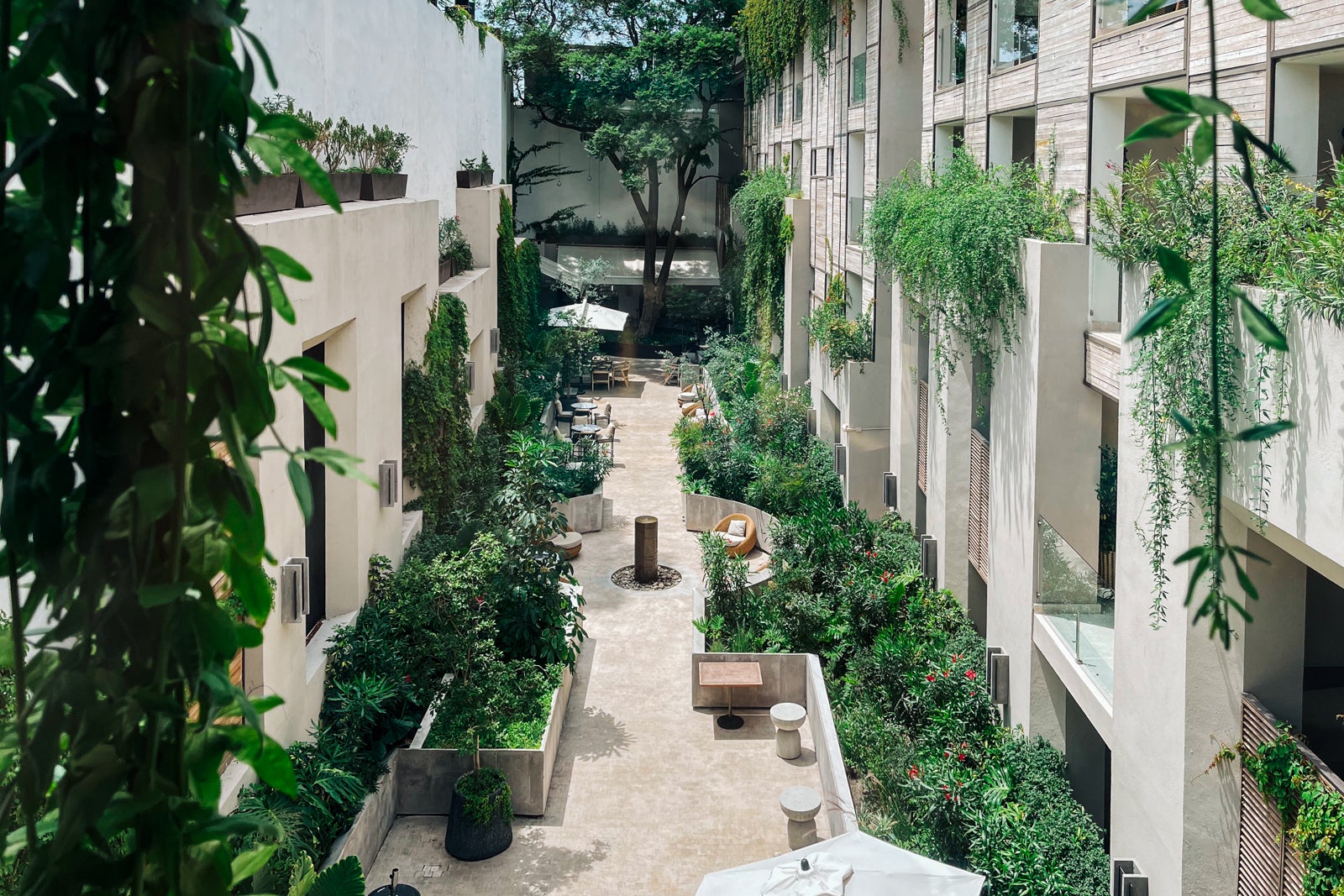 Review: Numu Boutique Hotel San Miguel de Allende, Mexico - The Points Guy