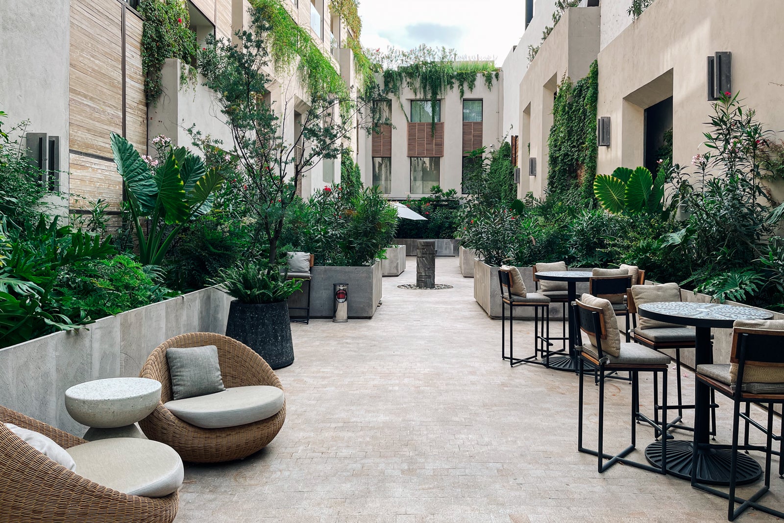 Review: Numu Boutique Hotel San Miguel de Allende, Mexico - The Points Guy