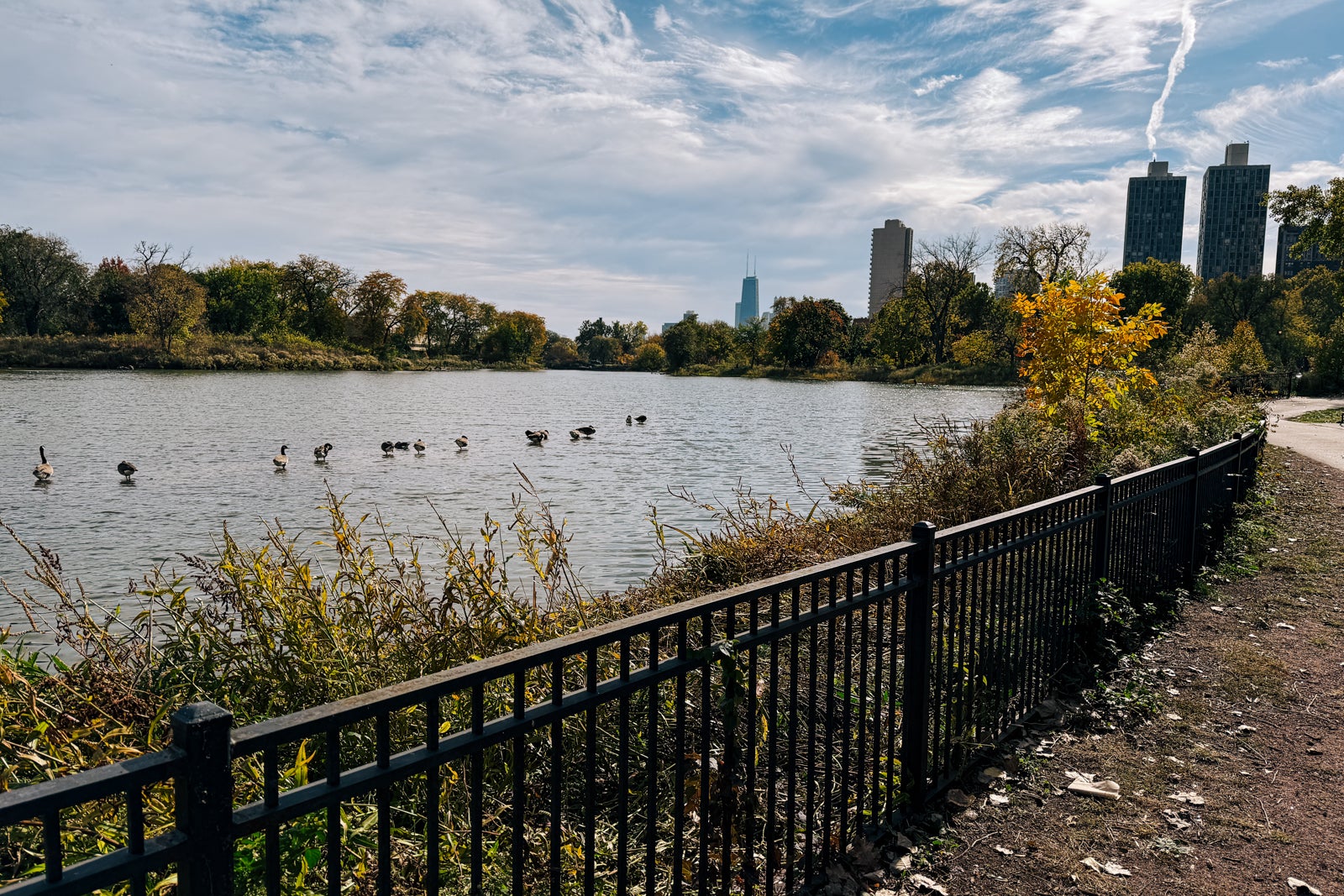 Here's what I love about Chicago, and why you should go now - The ...