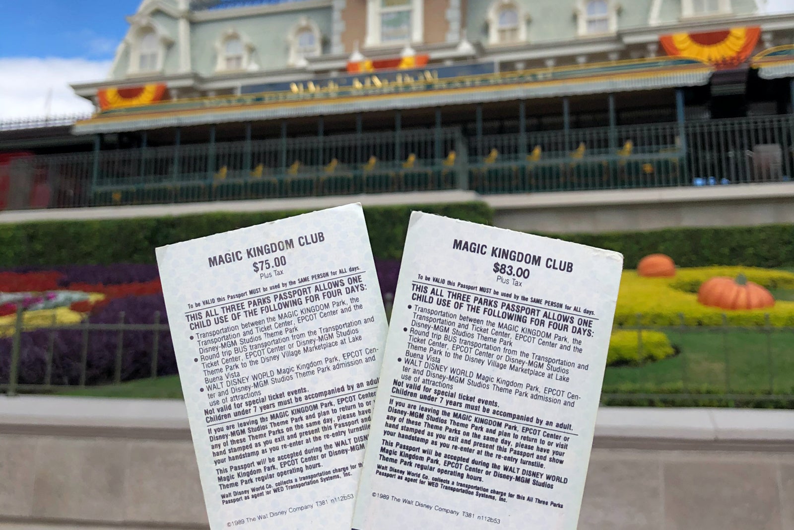 How vintage tickets will slash $1,500 off our family's next Disney ...