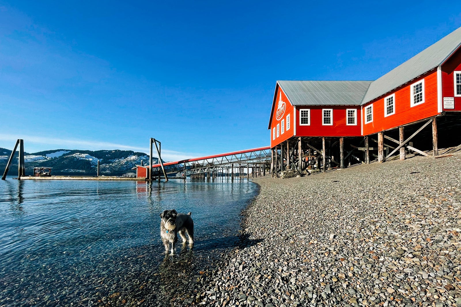 Free things to do in Alaska on a cruise - The Points Guy