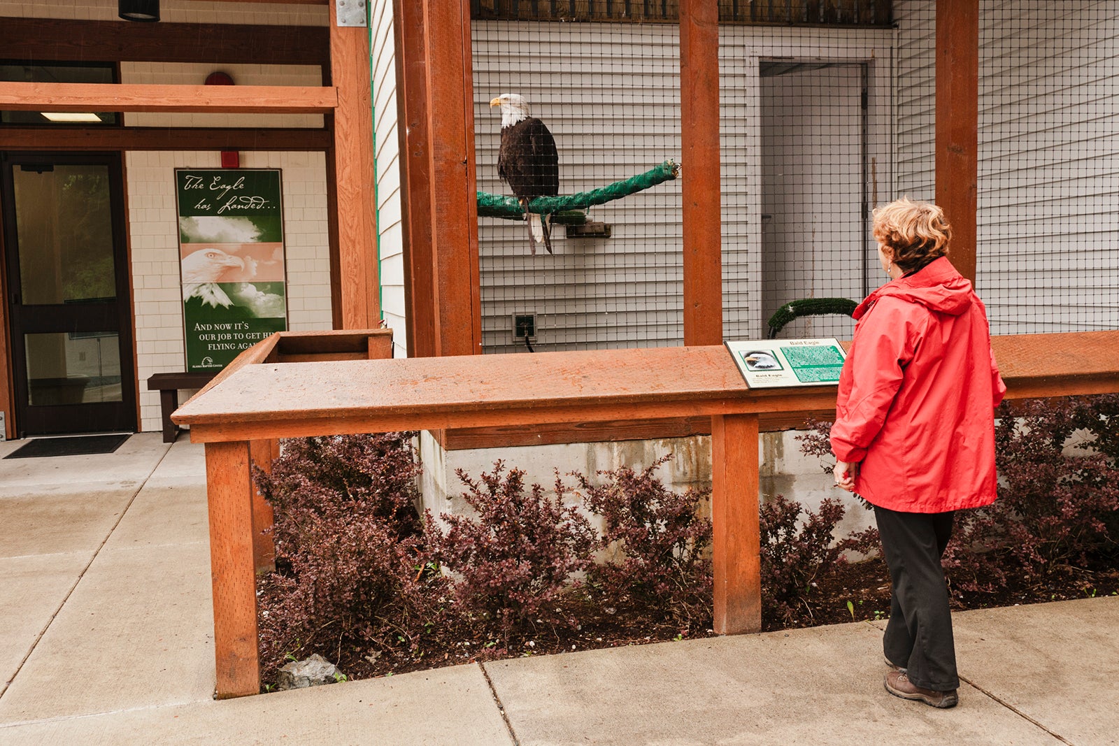 Free things to do in Alaska on a cruise - The Points Guy