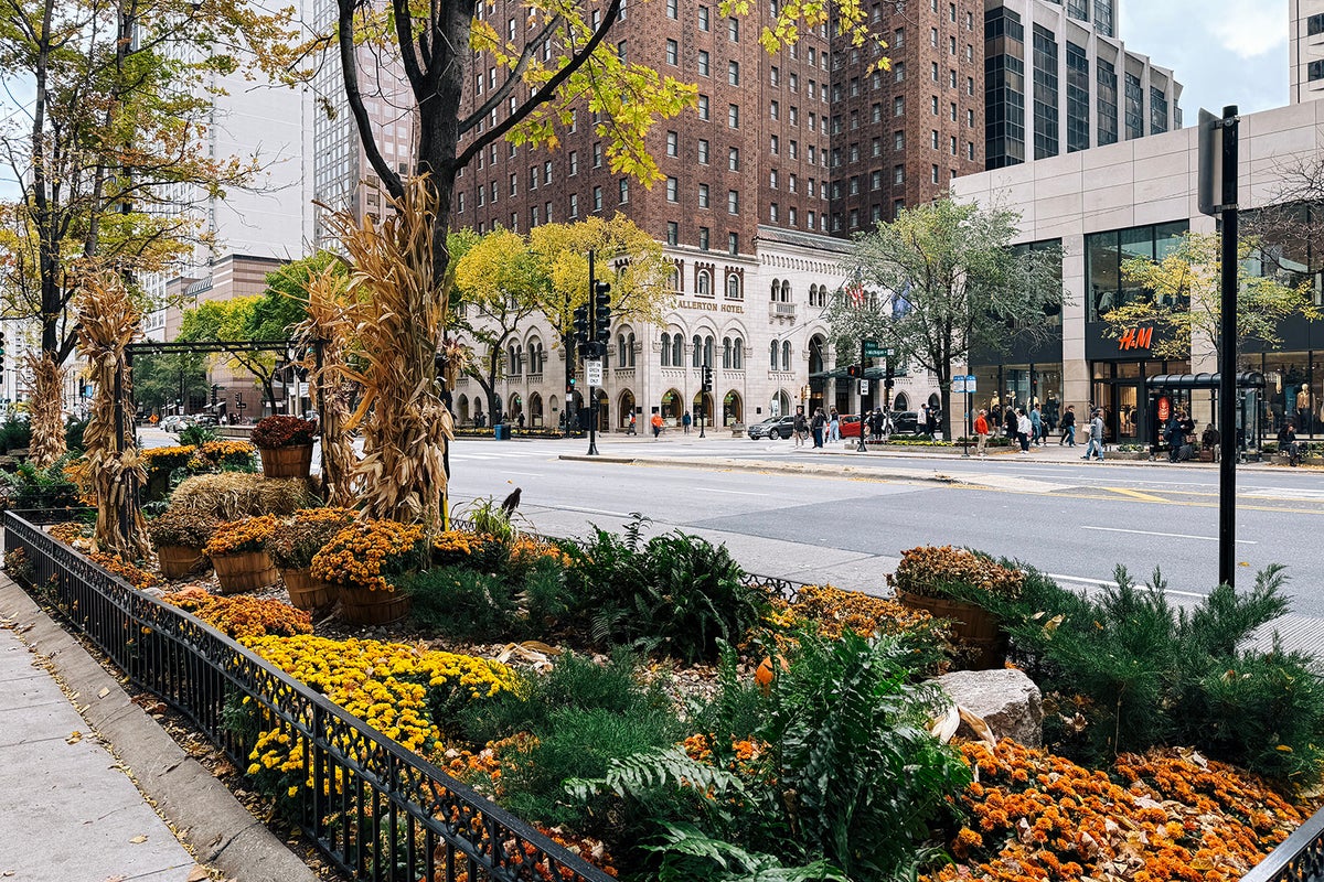 Here's what I love about Chicago, and why you should go now - The ...