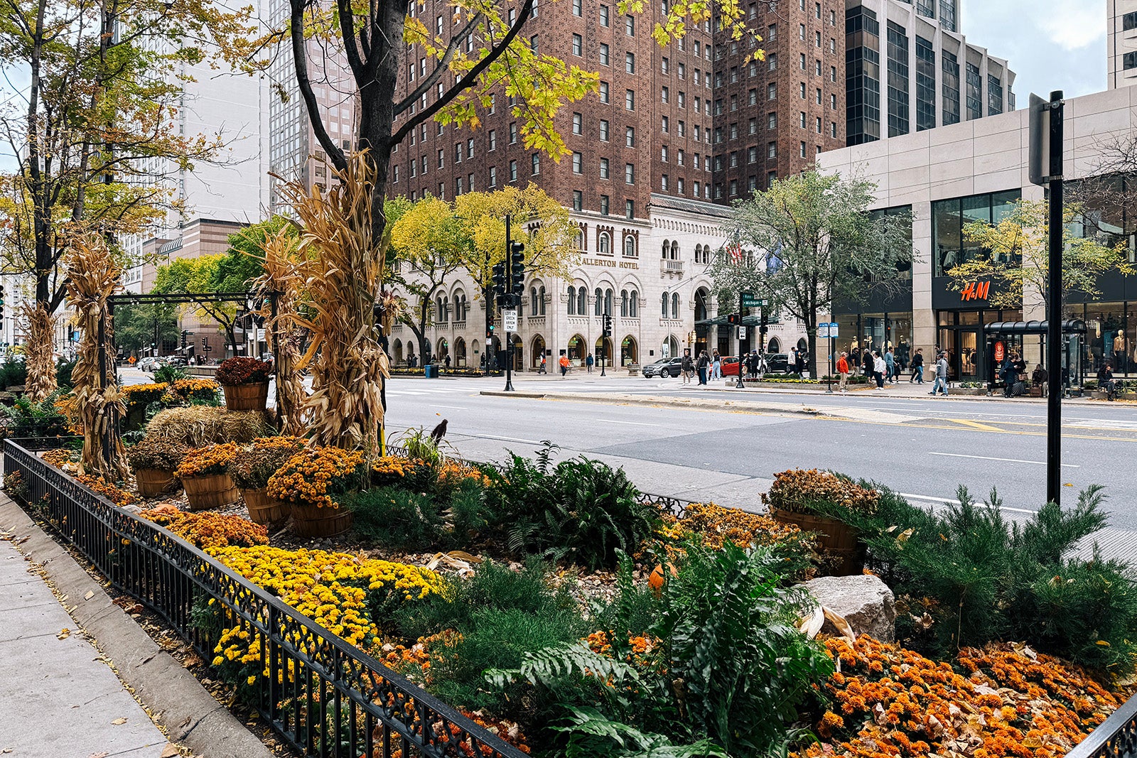 Here's what I love about Chicago, and why you should go now - The ...