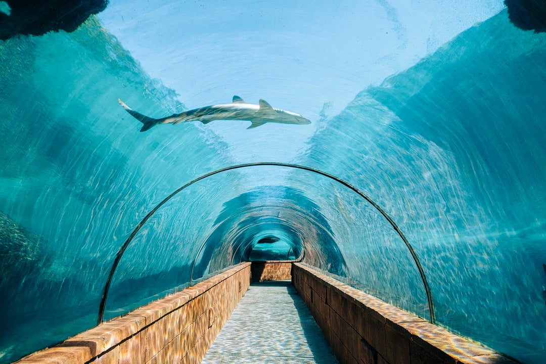 Caesars ends card-earned Wyndham status match: How I'll still enjoy ...