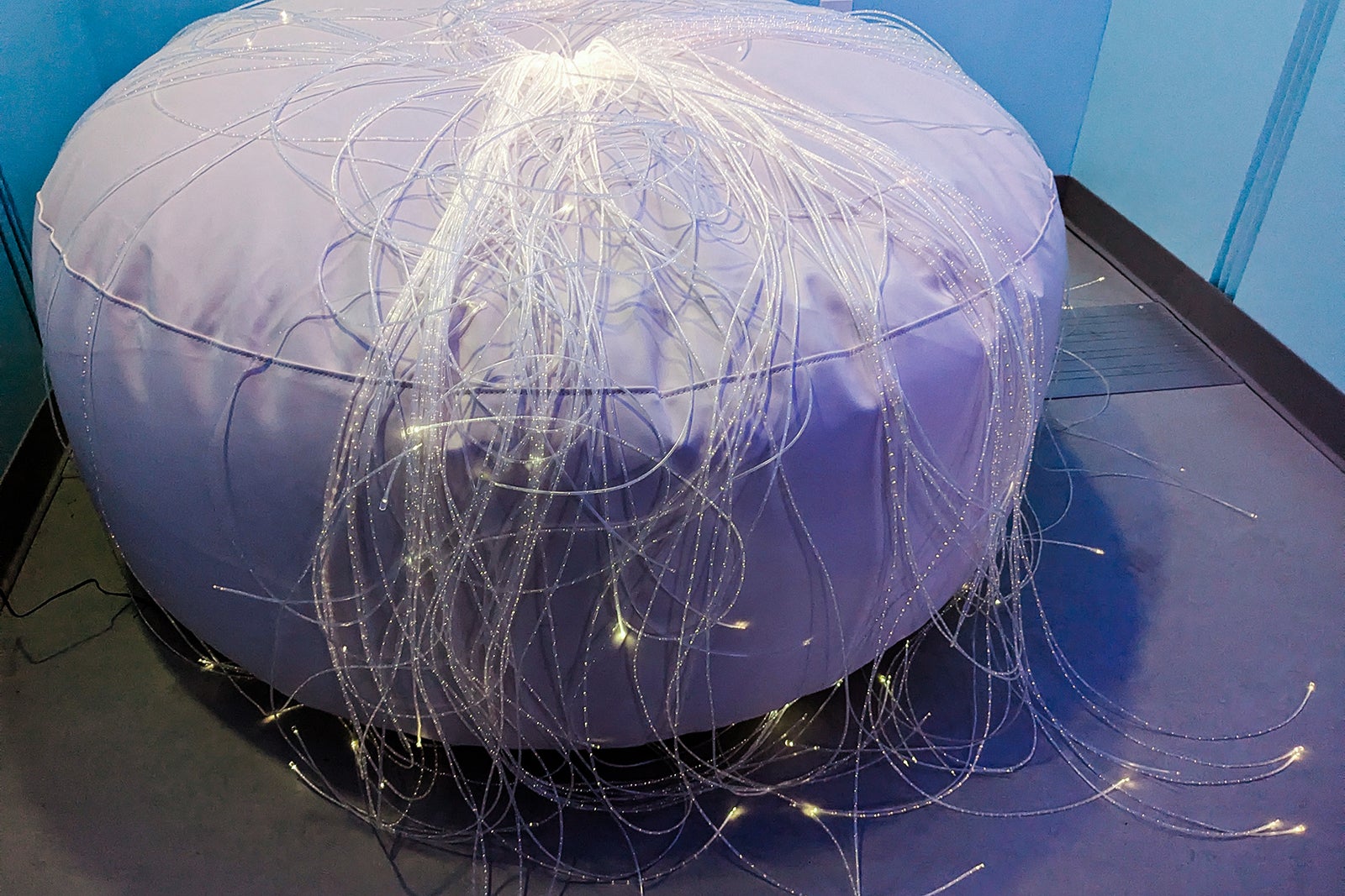 Detroit Metropolitan Wayne County Airport adds a multisensory room ...