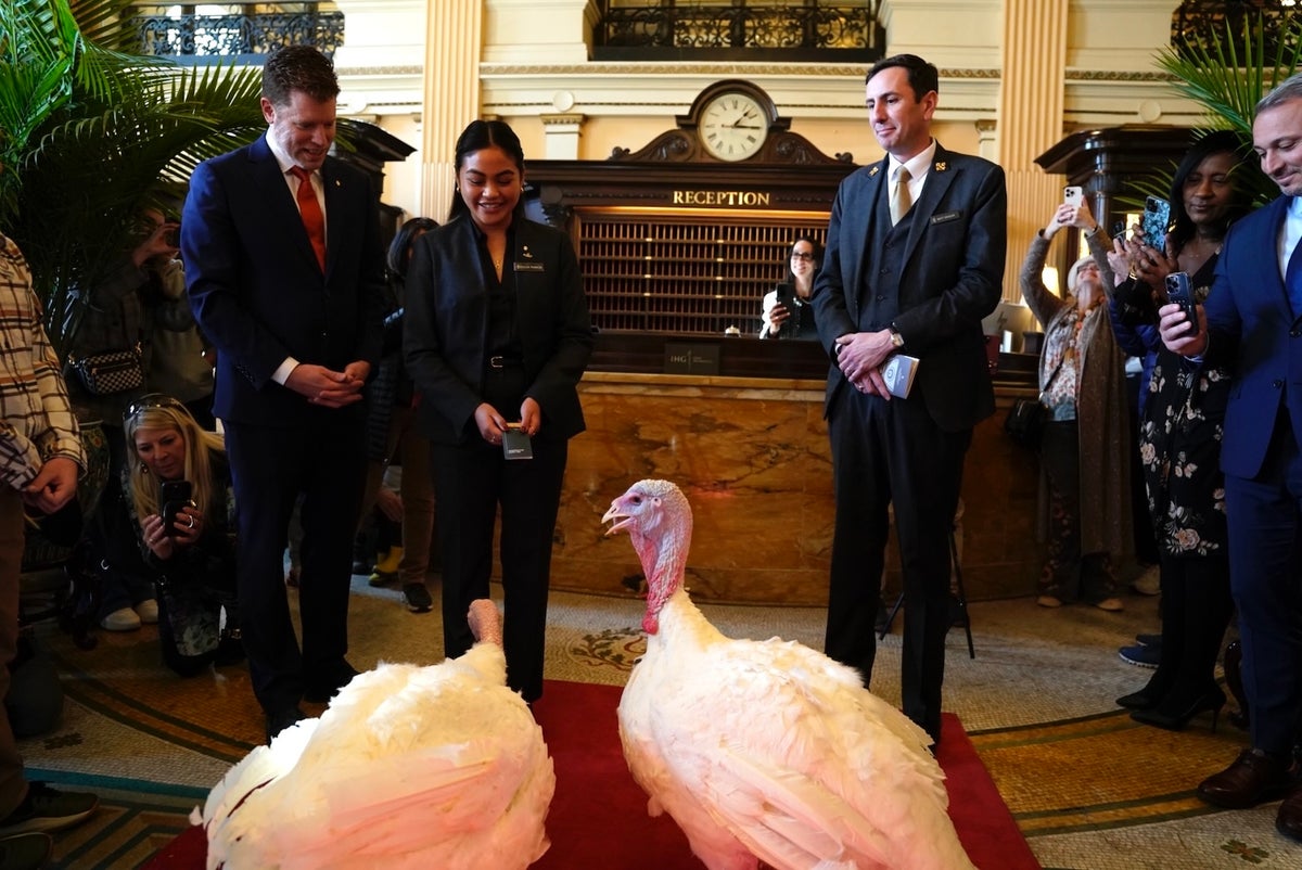 The Willard InterContinental hosts pardoned Thanksgiving turkeys before ...