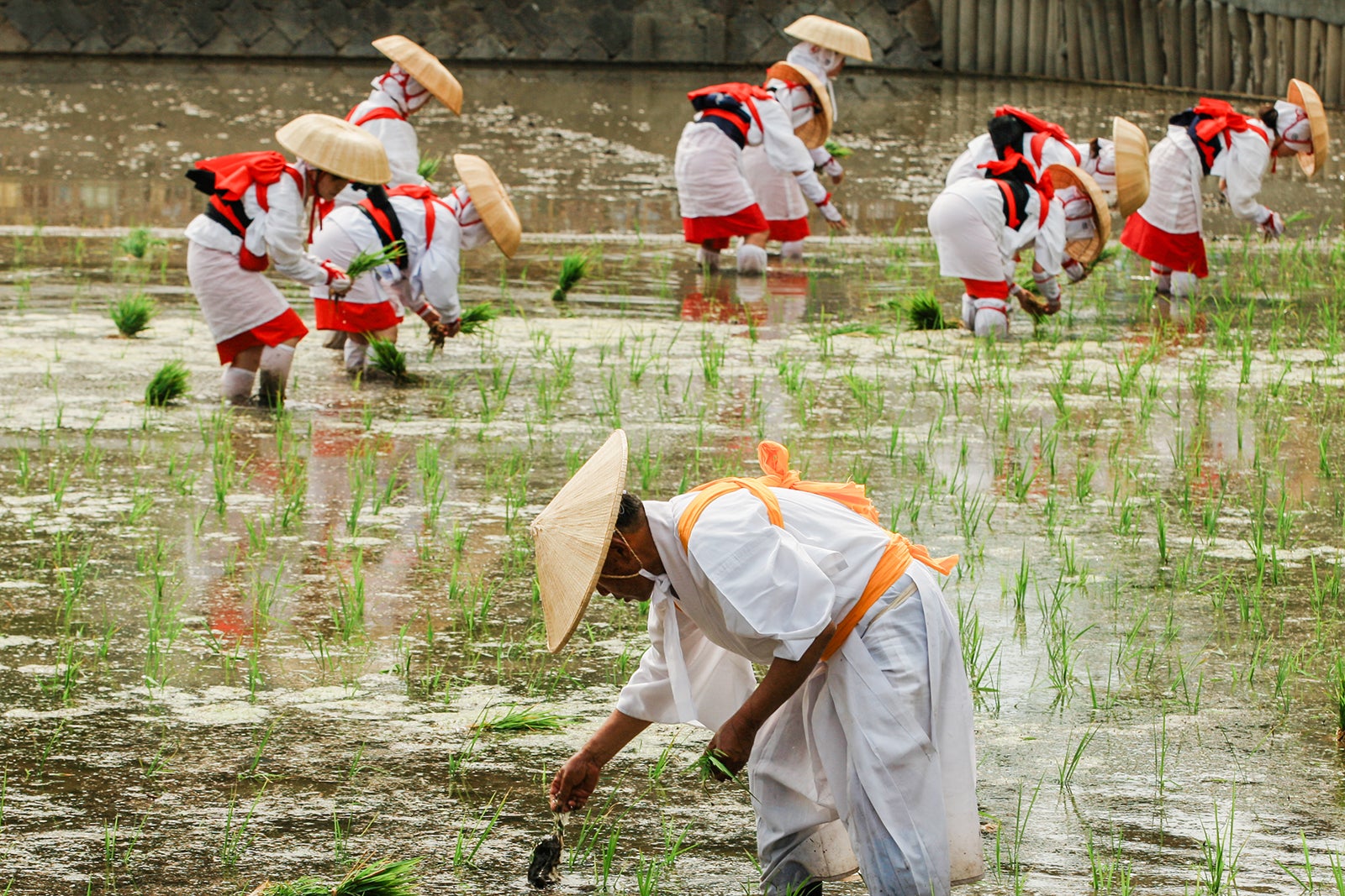 The 14 best culinary adventures for foodie travelers in 2025 - The ...