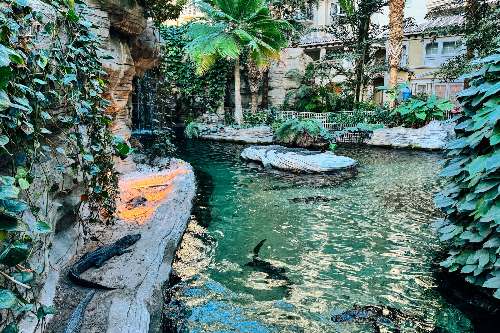 6 things to know before you visit a Gaylord resort - The Points Guy