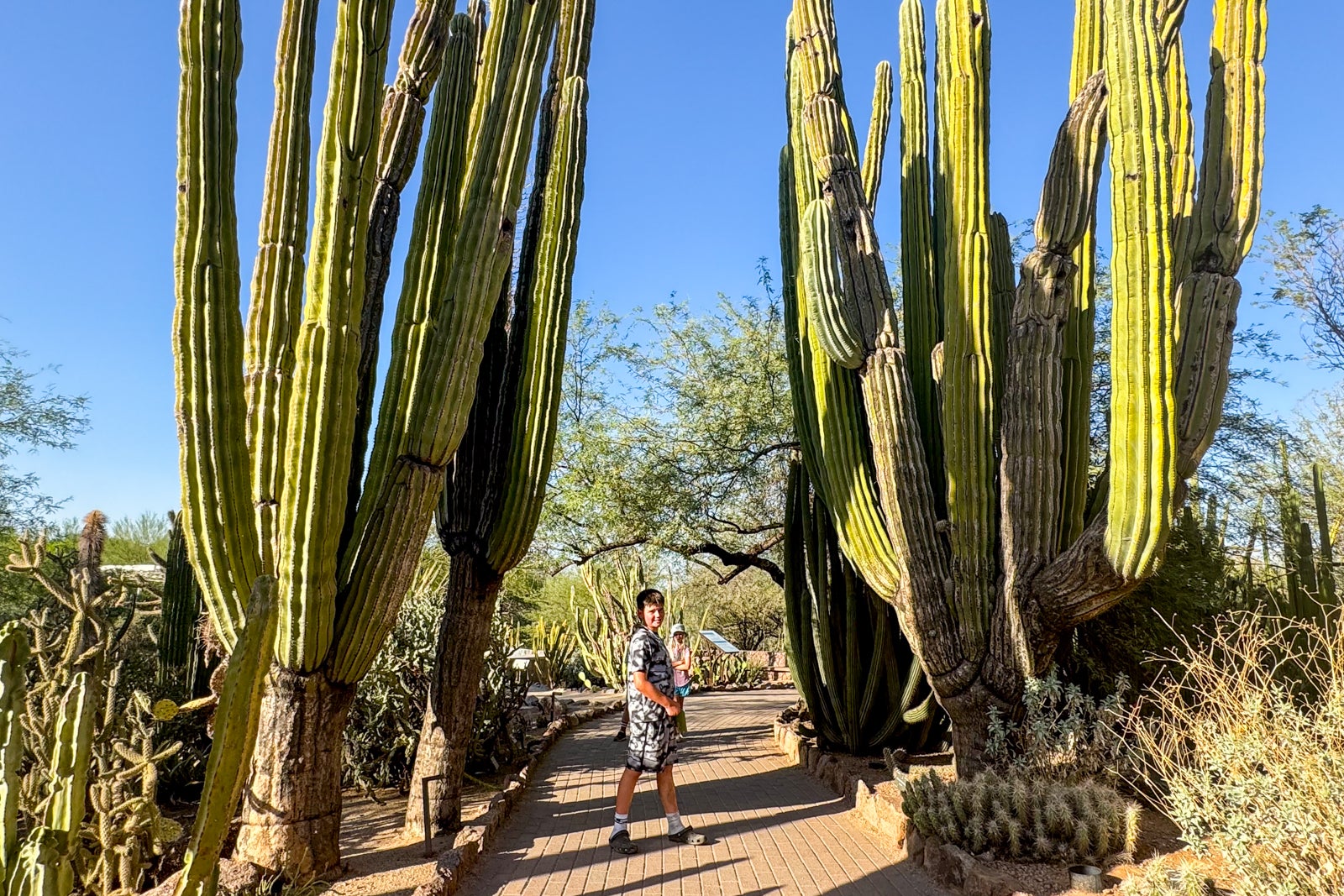 Ultimate family guide to Scottsdale, Arizona - The Points Guy