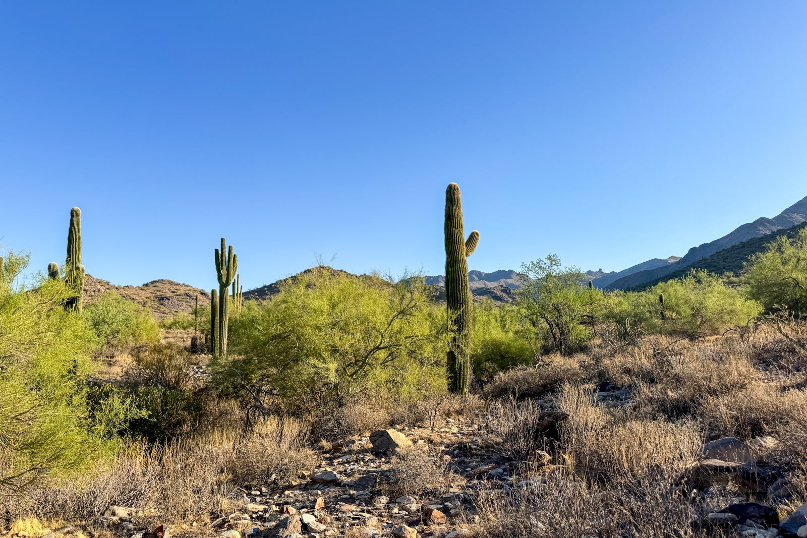 Ultimate family guide to Scottsdale, Arizona - The Points Guy