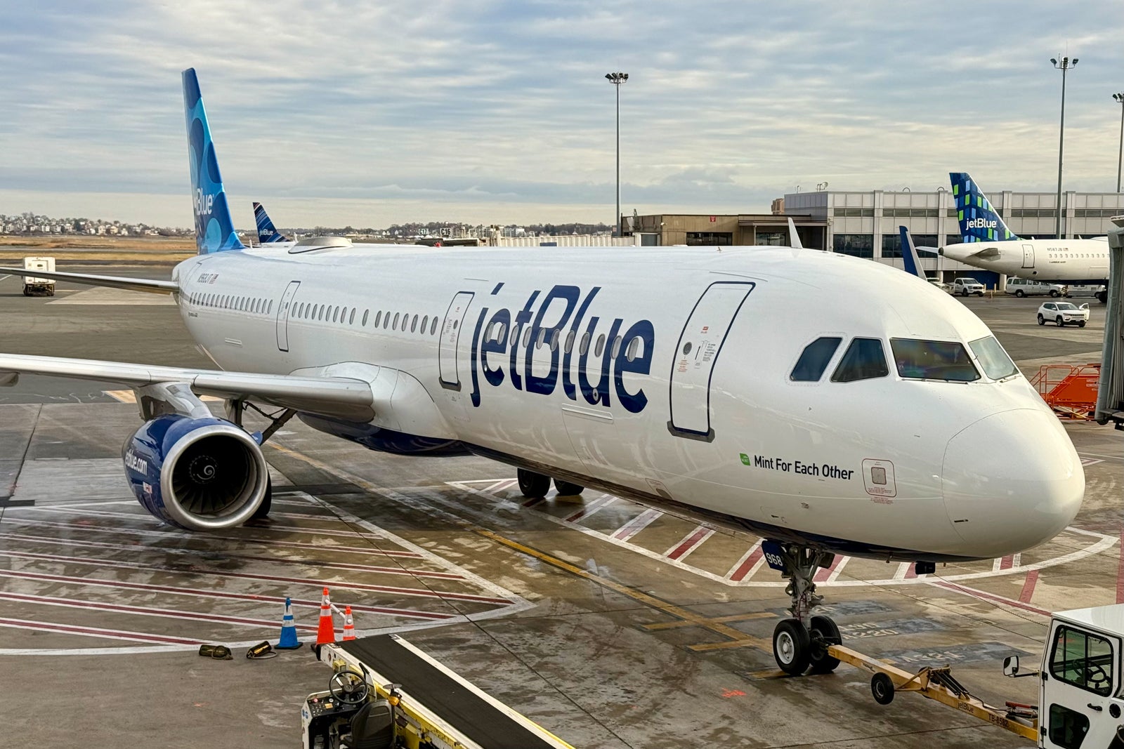 JetBlue Mosaic elite status: What it is and how to earn it – First ...
