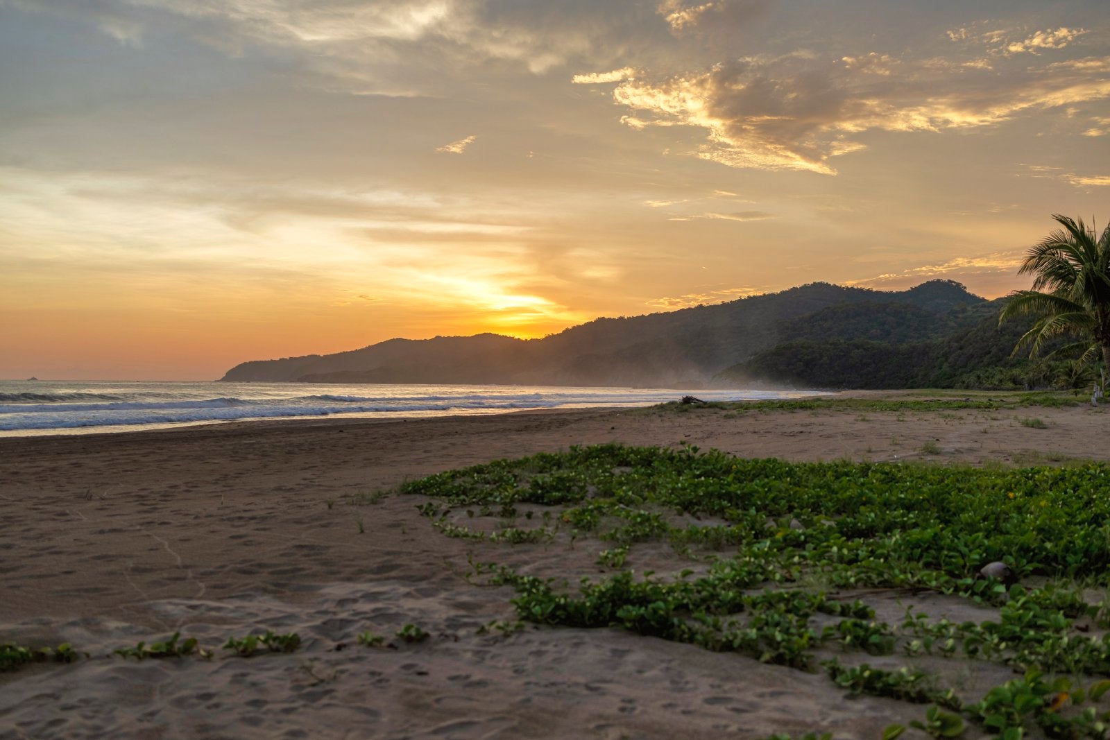 The 8 best beaches in Mexico - The Points Guy