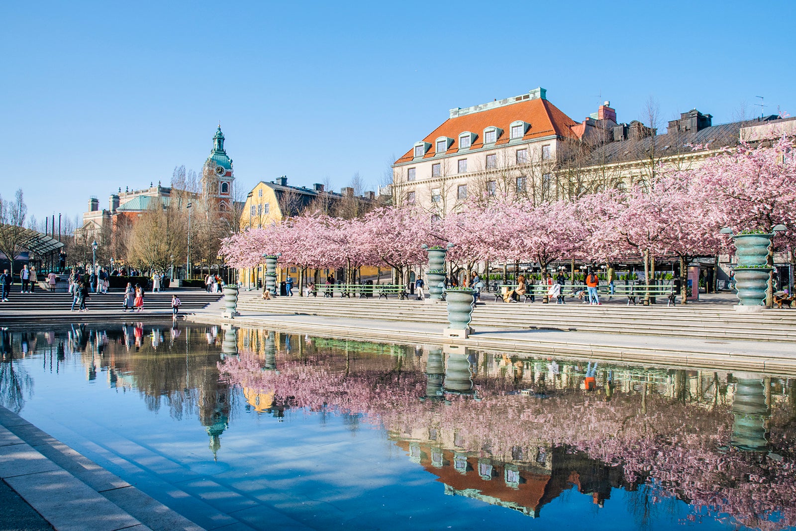 The best places in the world to see cherry blossoms - The Points Guy