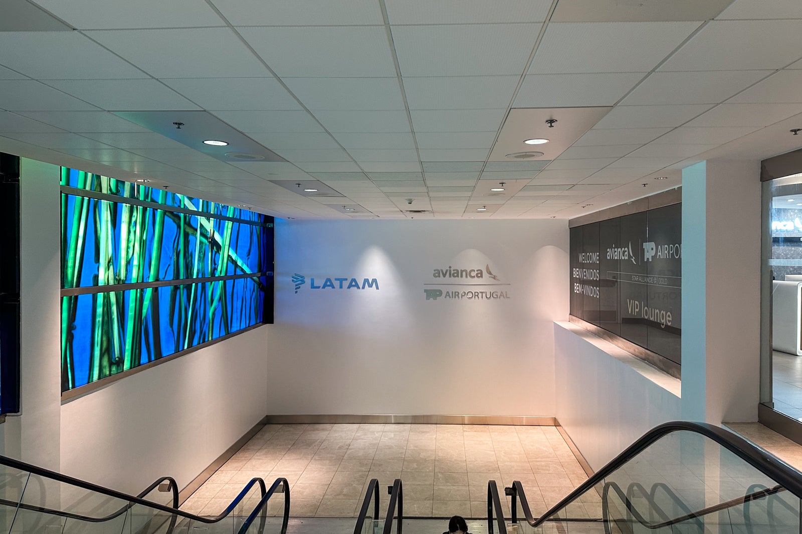 First look at the newly renovated Avianca-TAP Air Portugal lounge at ...