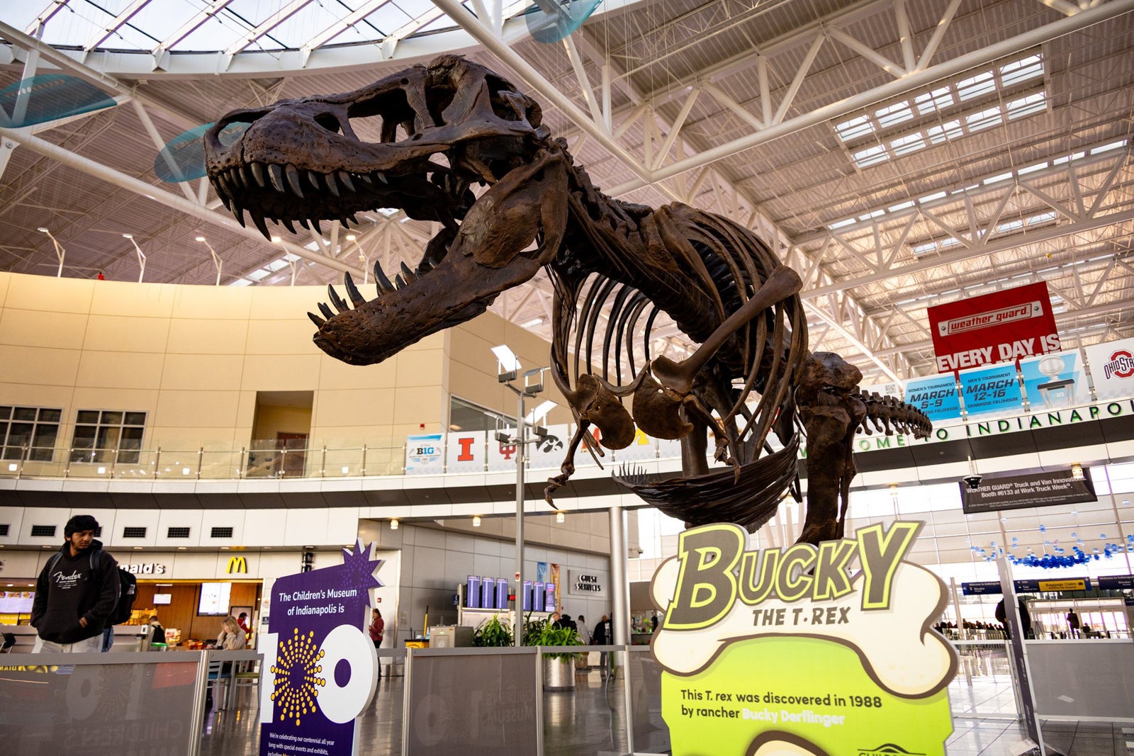 Dinosaurs descend on US airports - The Points Guy
