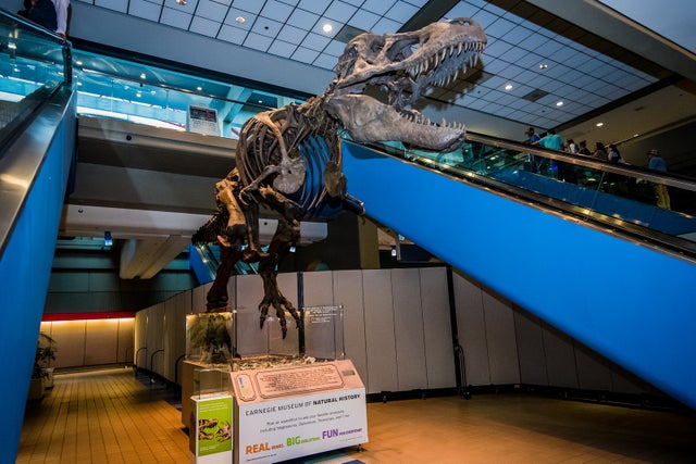Dinosaurs descend on US airports - The Points Guy